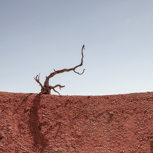 A Stranger in the Earth – Old Paths Baptist Church